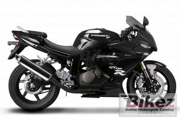 Hyosung GT 250 R gallery